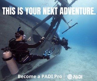 Red Sea Diving Safari - Marsa Alam - Diving