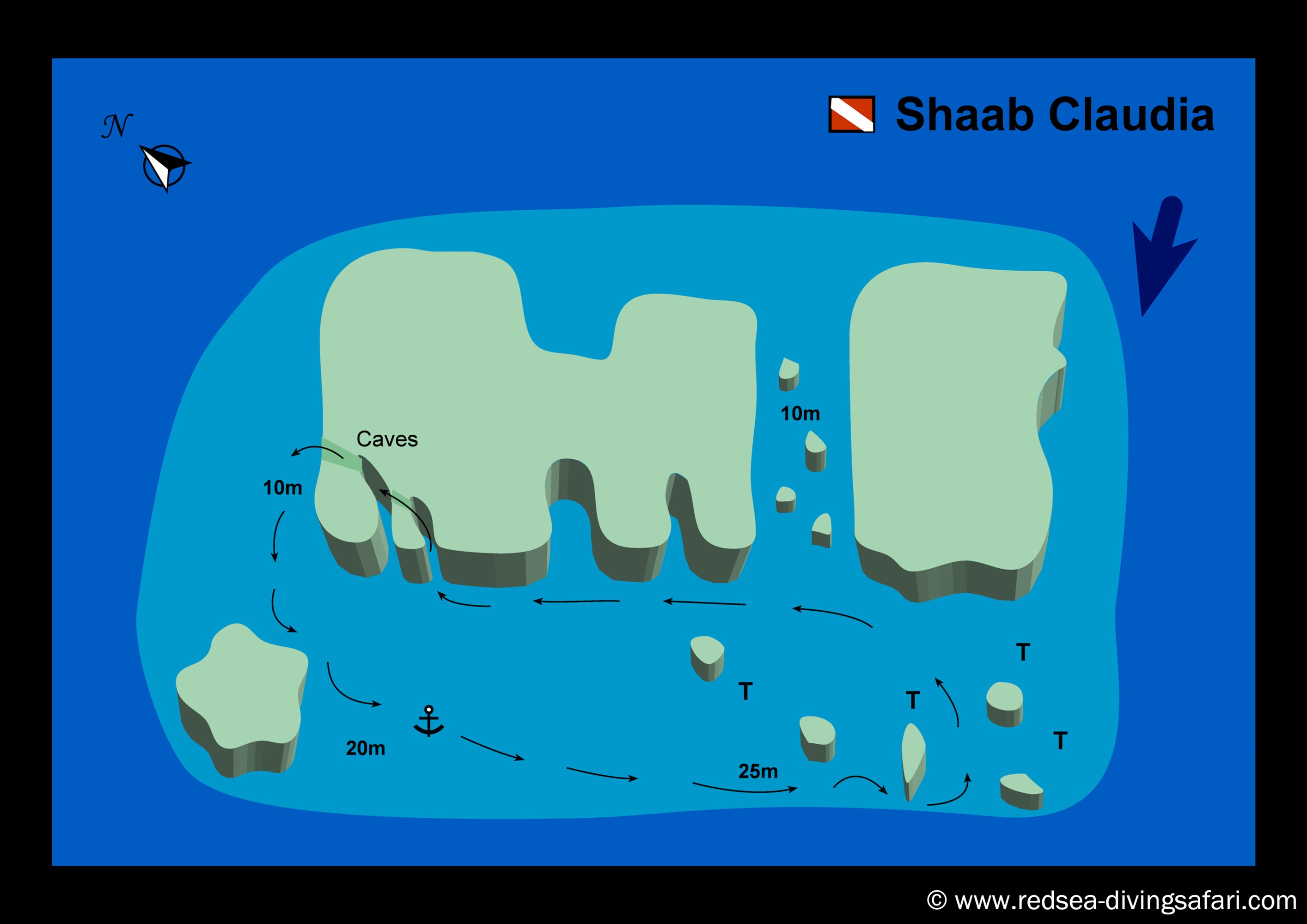 Red Sea Diving Safari - Marsa Alam - Diving