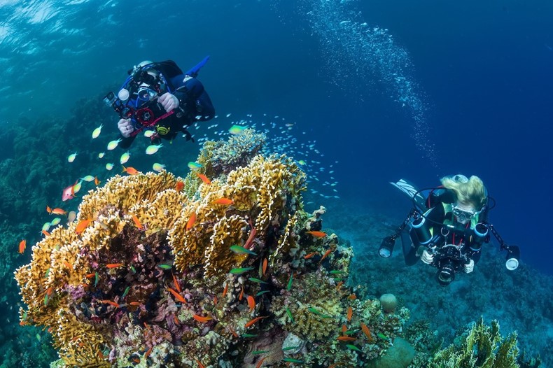 Red Sea Diving Safari - Marsa Alam - Home